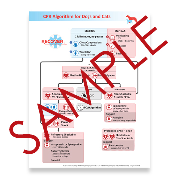 CPR Algorithm 2.0 - 8.5x11 | VECCS