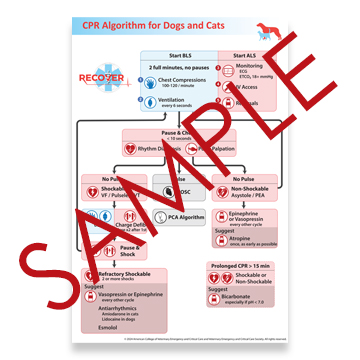 CPR Algorithm 2.0 - 24x36 Poster | VECCS